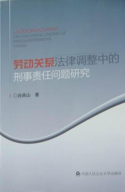 劳动关系法律调整中的刑事责任问题研究法律劳动关系刑事责任研究中国 图书