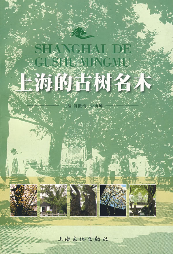 上海的古树名木