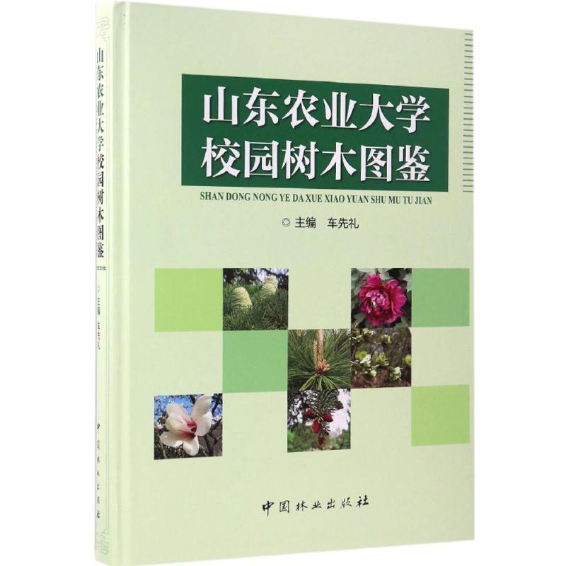 山东农业大学校园树木图鉴