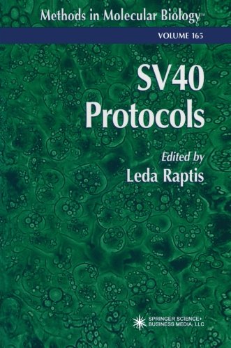SV40 Protocols