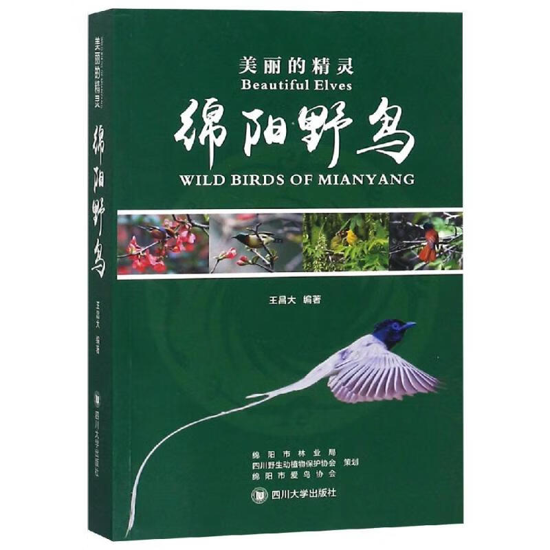 美丽的精灵:绵阳野鸟 王昌大 书籍