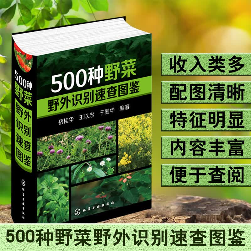 野菜图鉴大全500种野菜野外识别速查图鉴中国野菜野果植物菌类图鉴图谱一本通书籍自然科学生物科学植物学