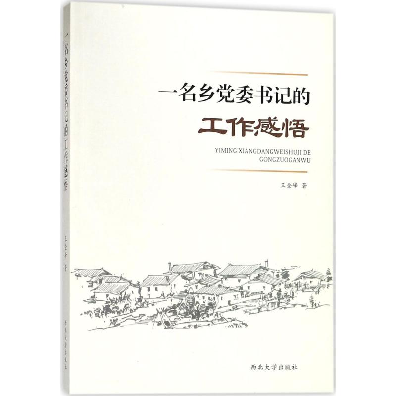 一名乡党委书记的工作感悟