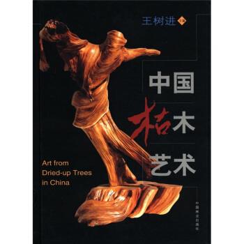 中国枯木艺术 王树进【书】