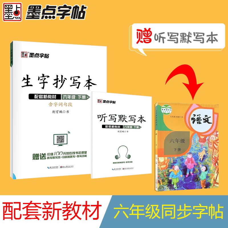 墨点字帖 生字抄写本 六6年级下册 语文 六年级下