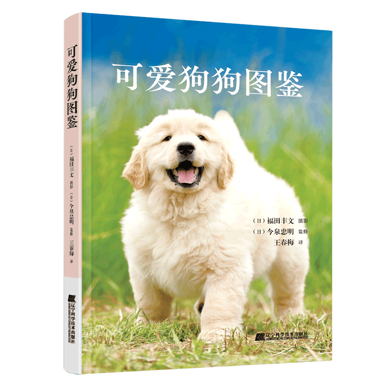 可爱狗狗图鉴