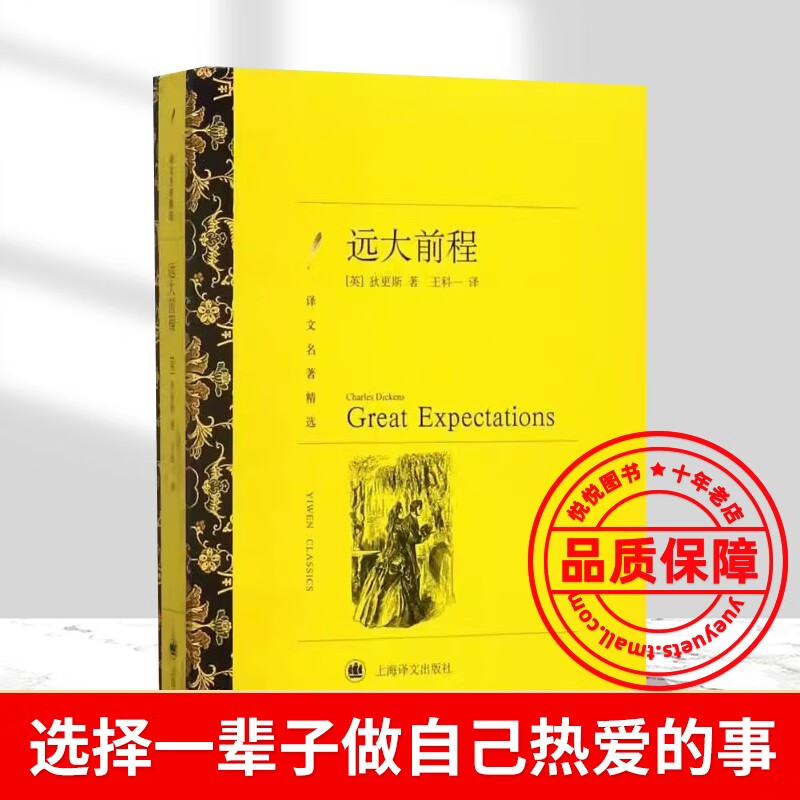 狄更斯全集作品文集 远大前程 王科一译 上海译文出版社