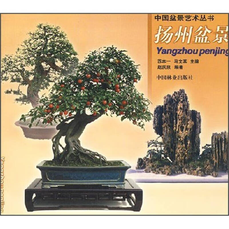 扬州盆景【特惠】