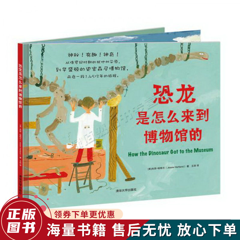 恐龙是怎么来到博物馆的