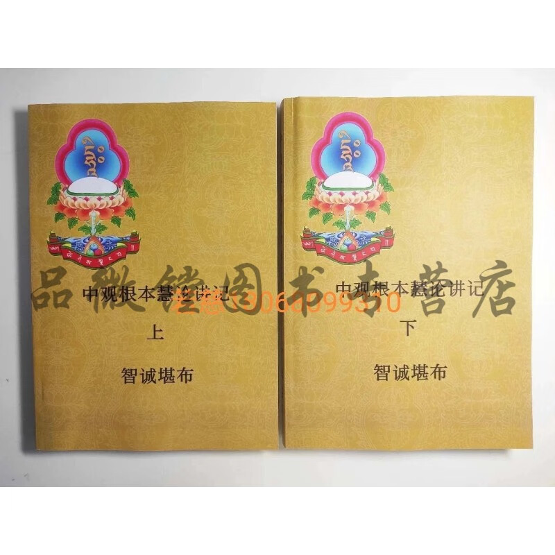 生西法师(智诚堪布) 中观根本慧论讲记 中论讲记 上 下册 全套 辅导 A4纸大小 共800页