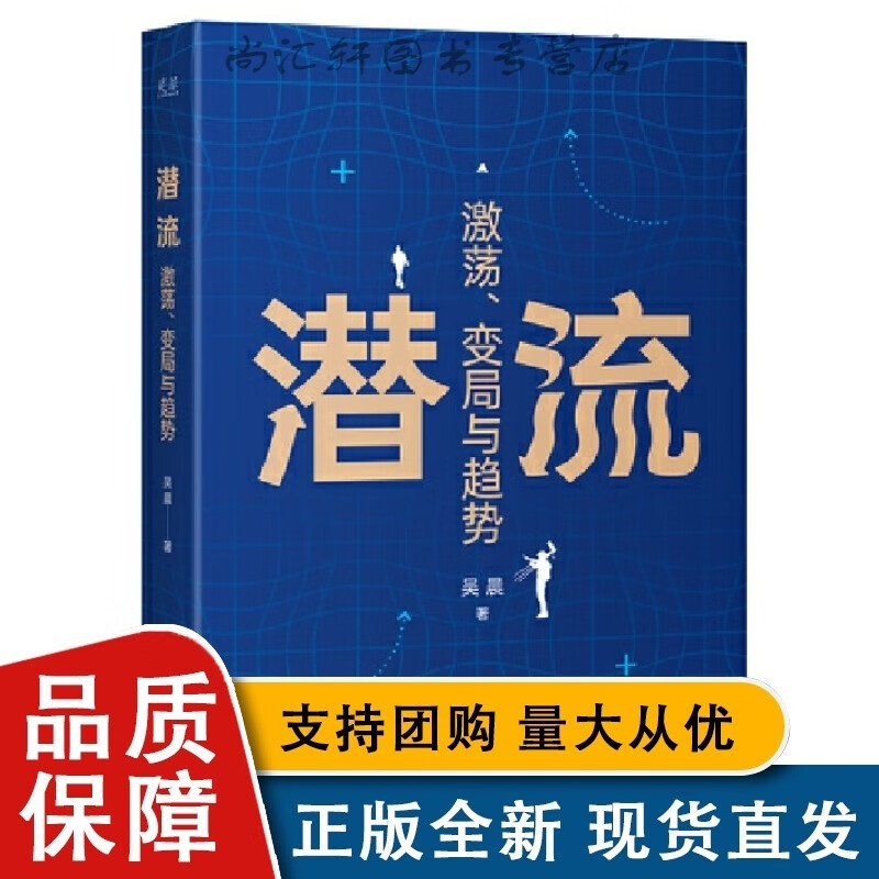 潜流：激荡、变局与趋势 吴晨著 中译全新9787500171973