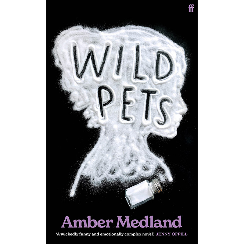 现货 野生宠物 英文原版 Wild Pets 外国文学小说书 Amber Medland 平装