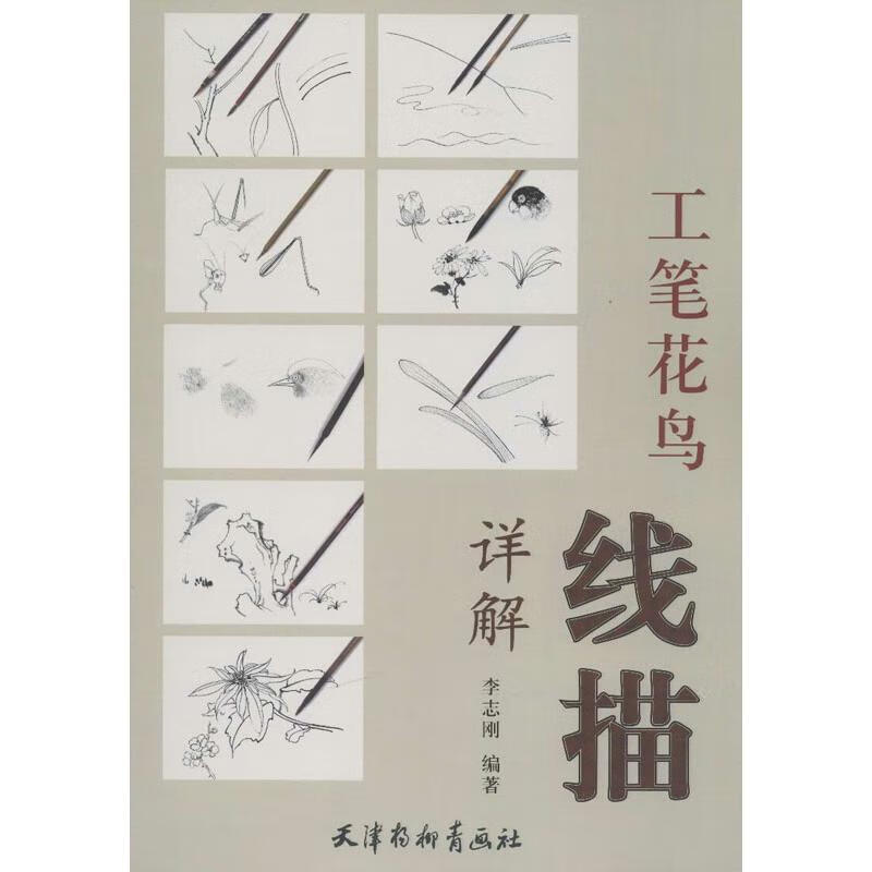工笔花鸟线描详解 李志刚 作 书籍