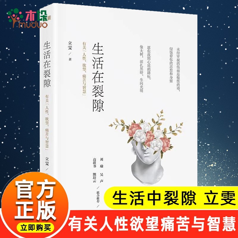 生活在裂隙 立雯著 单册