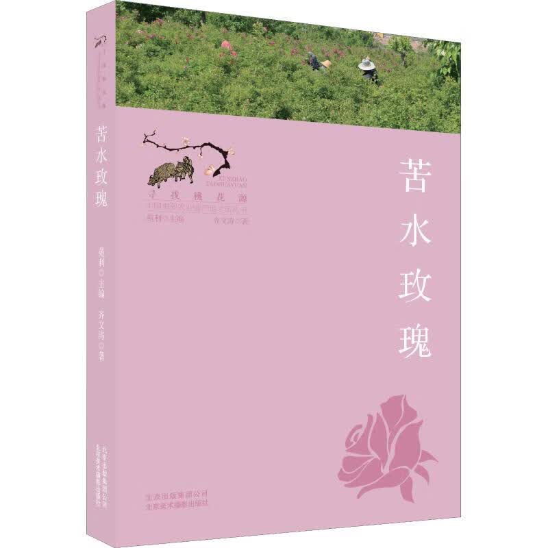 苦水玫瑰