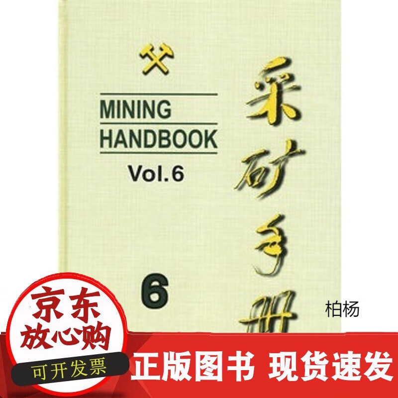 速发 采矿手册第6卷
