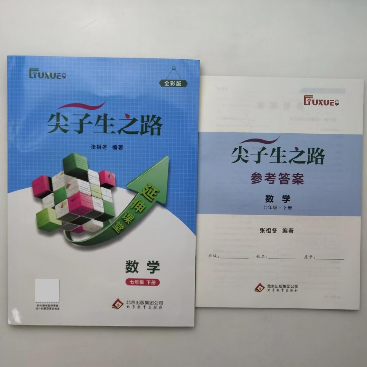 2023春 尖子生之路数学延伸课堂练习册 七八九年级下册 全彩版 七年级数学下册