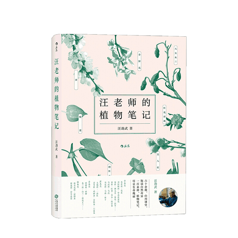 包邮 汪老师的植物笔记 汪劲武手绘插图自然博物学中学课外读物科普书籍
