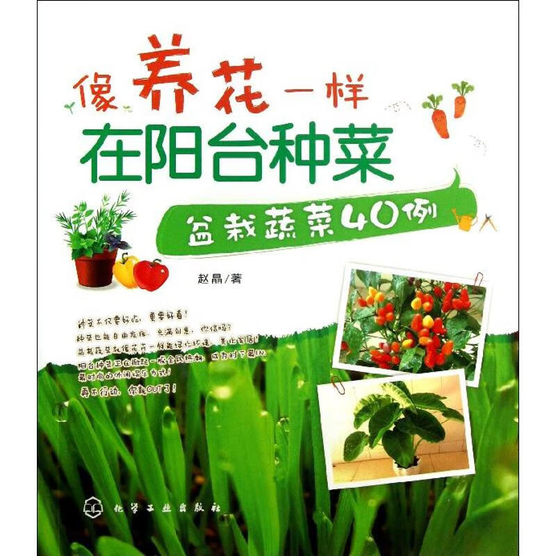 像养花一样在阳台种菜