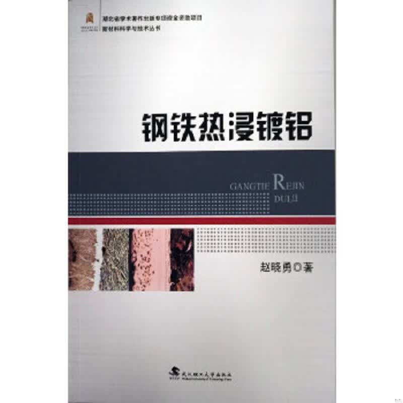 钢铁热浸镀铝9787562957874赵晓勇武汉社