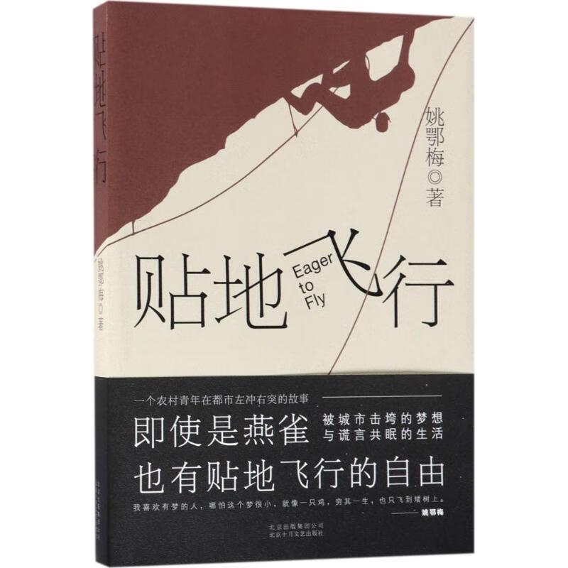 贴地飞行 姚鄂梅  书籍