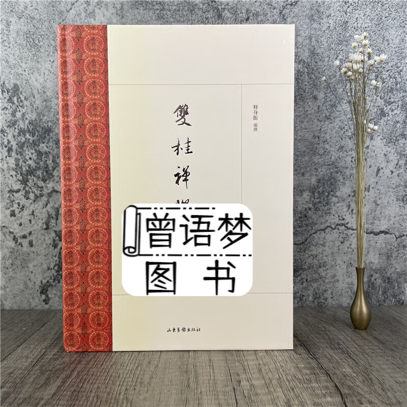 双桂禅灯录 精装 释身振 著 山东画报出版社
