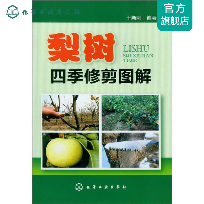 梨树四季修剪图解