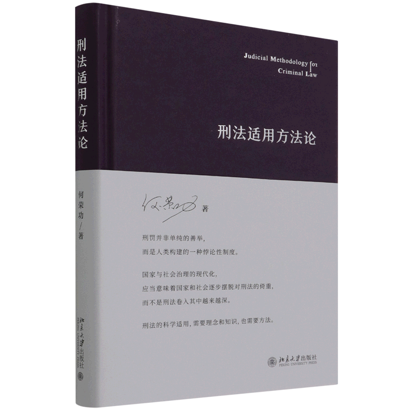 刑法适用方法论(精)