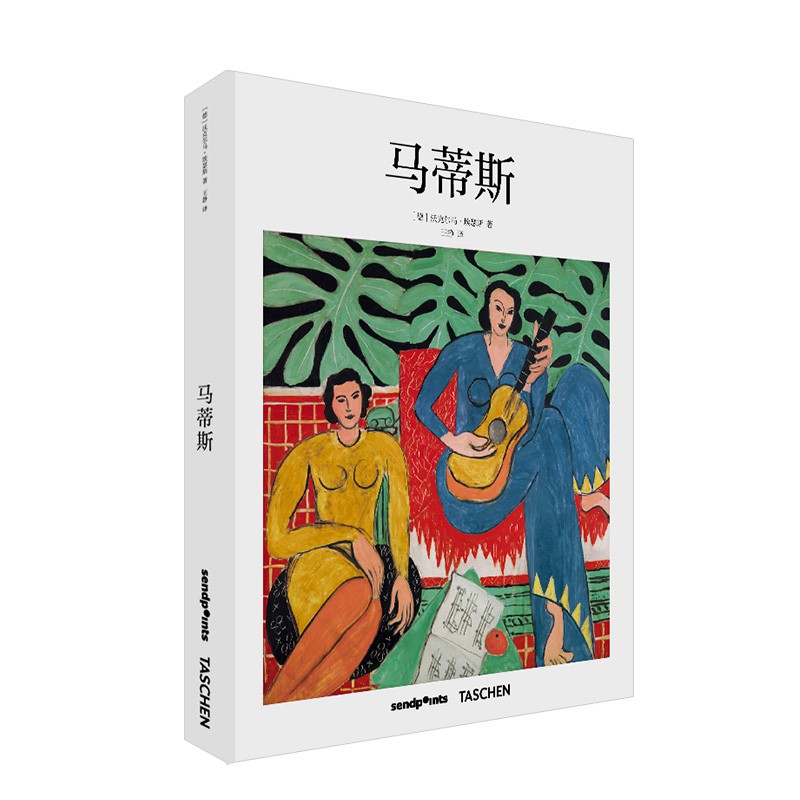 马蒂斯Matisse 简体中文版艺术画册 野兽派绘画 TASCHEN基础艺术系列 善本出版