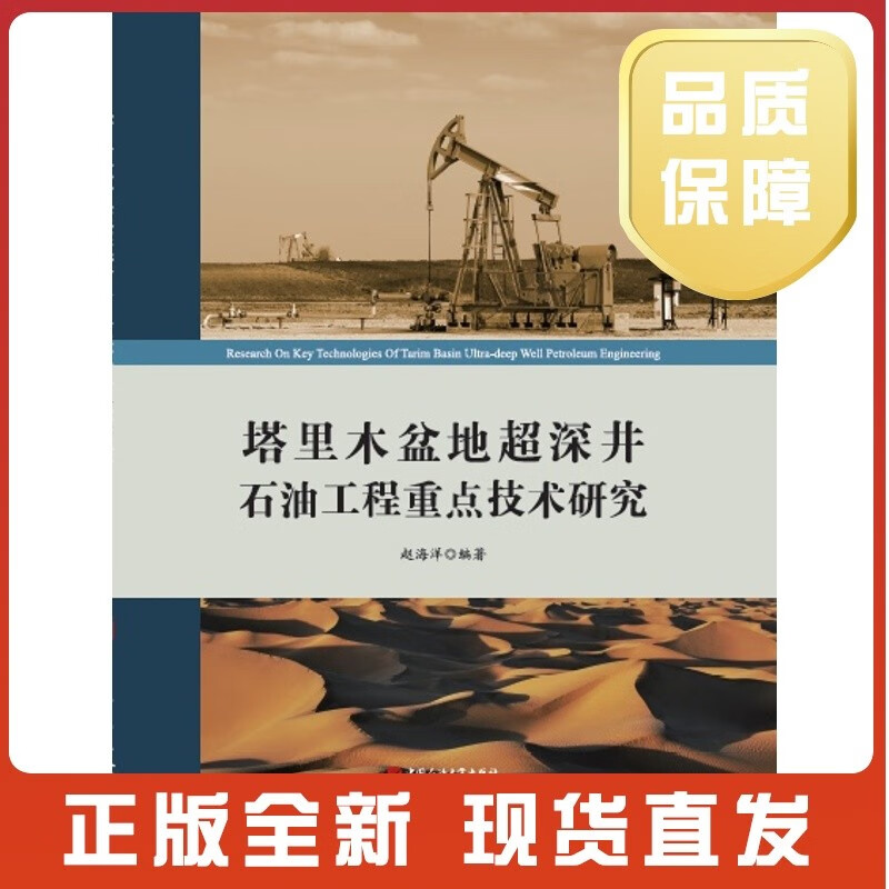 塔里木盆地超深井石油工程重点技术研究h