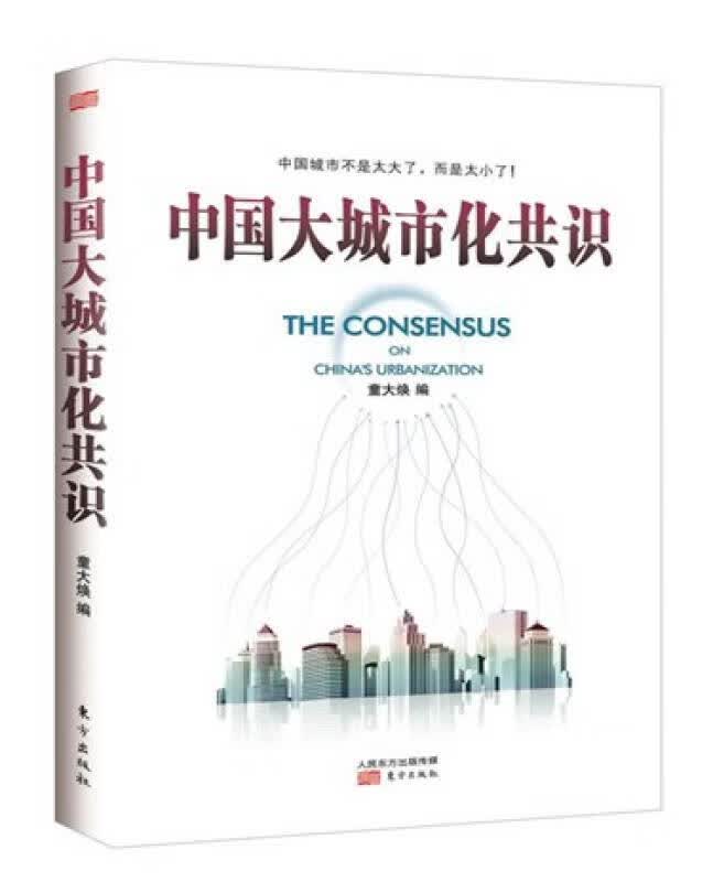 中国大城市化共识【精选】