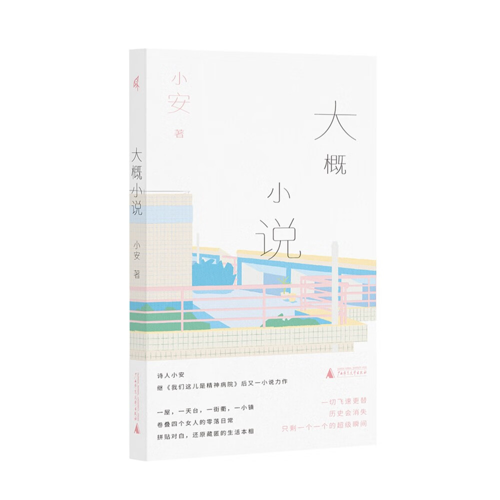 新民说·大概小说