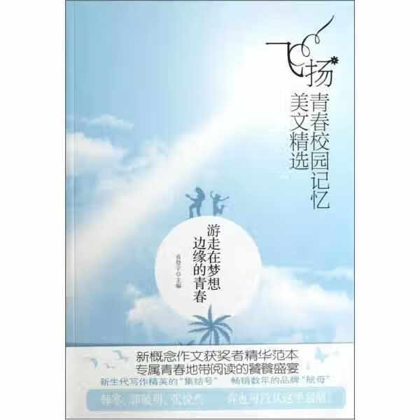游走在梦想边缘的青春 省登宇 国际文化出版公司 9787512503472