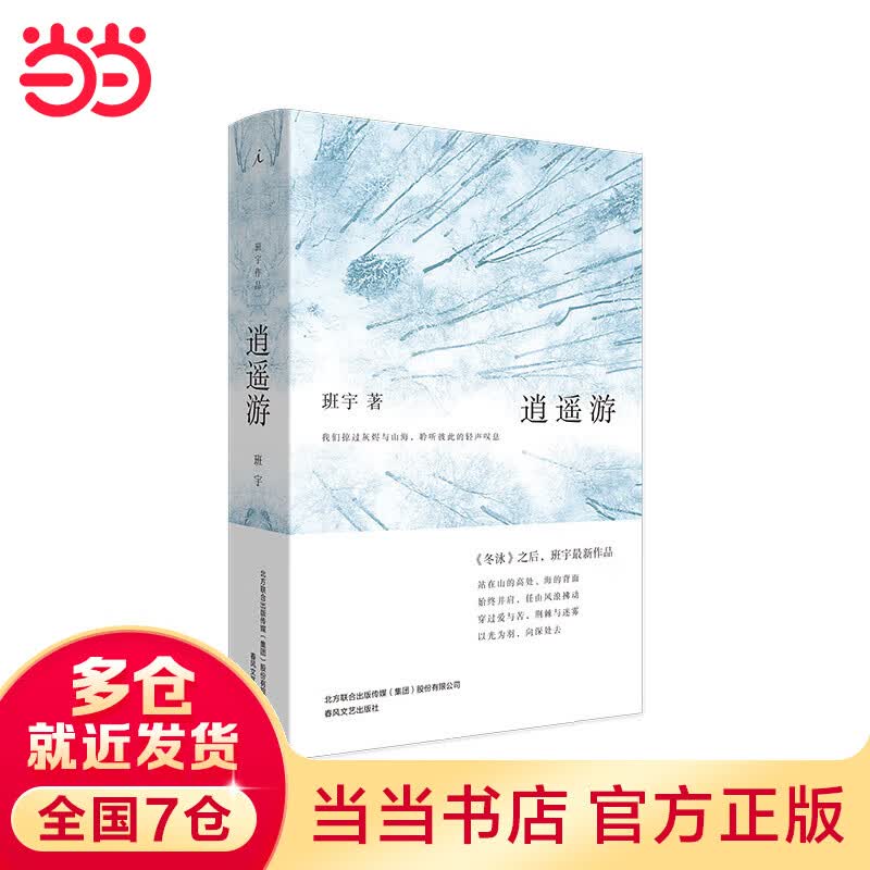 逍遥游（《冬泳》作者班宇最新作品，同名列收获文学排行榜短篇榜首）