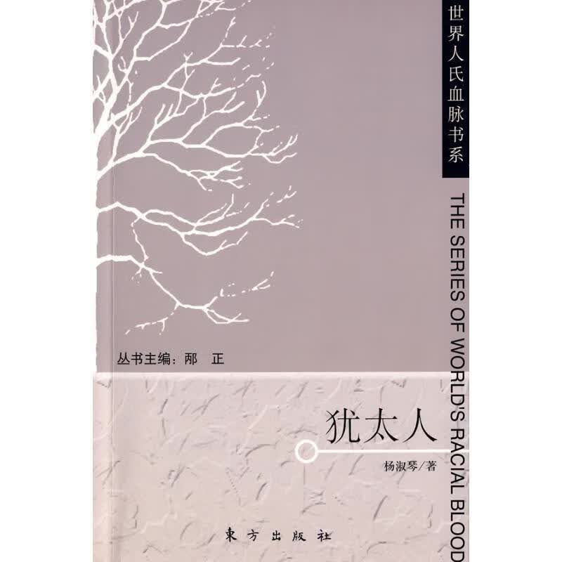 犹太人 杨淑琴著
