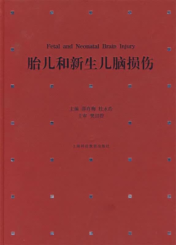 胎儿和新生儿脑损伤 邵肖梅,桂永浩 主编