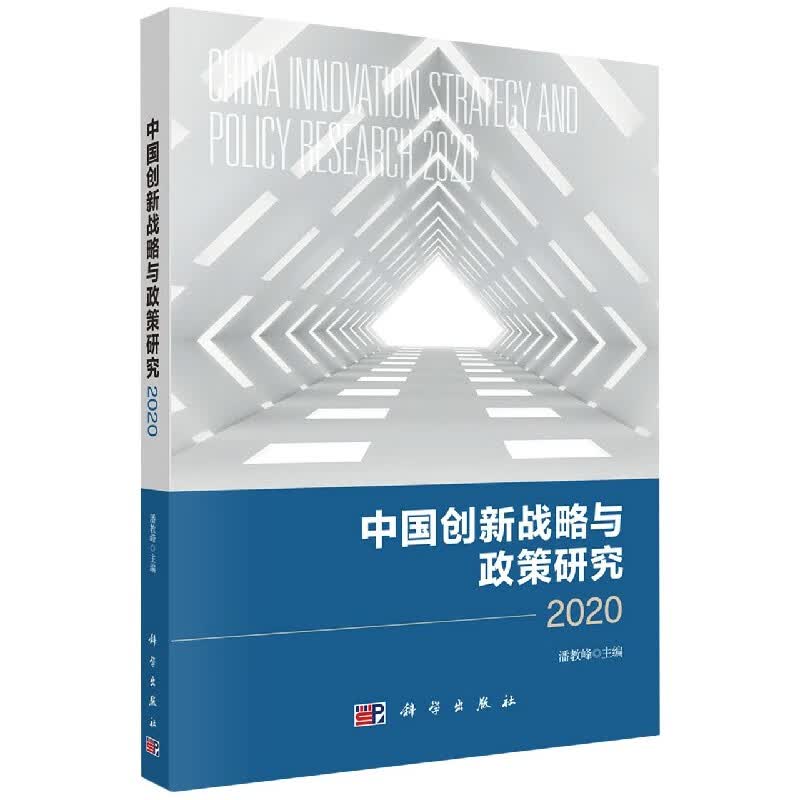 中国创新战略与政策研究(2020)
