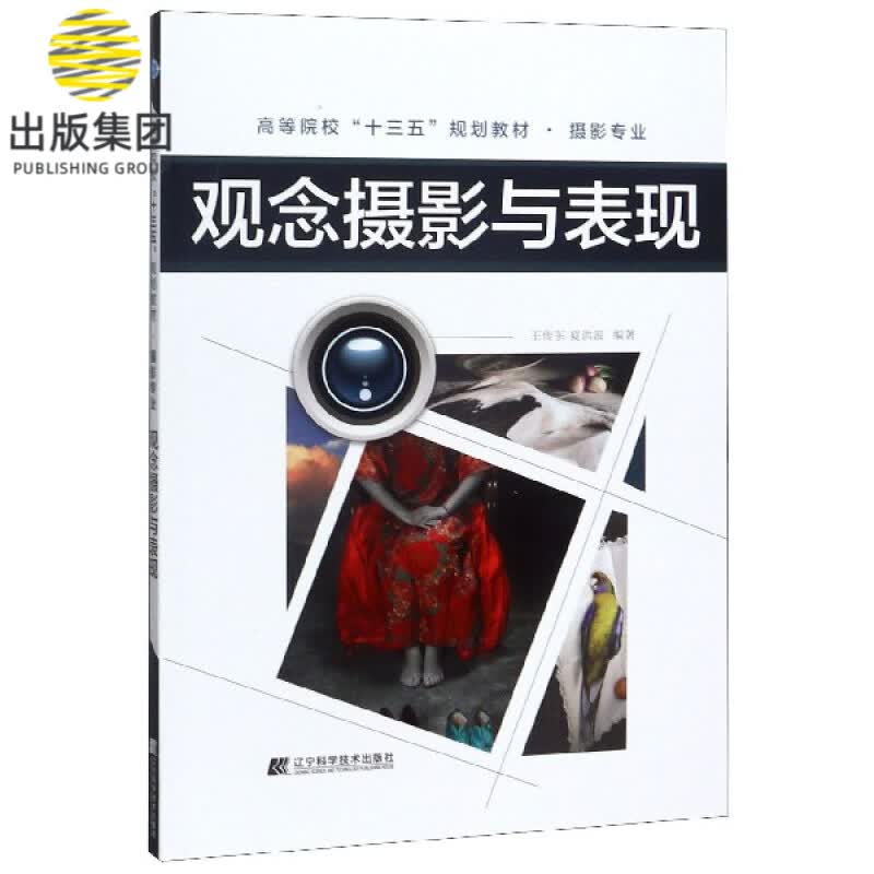 观念摄影与表现(摄影专业高等院校十三五规划教材)