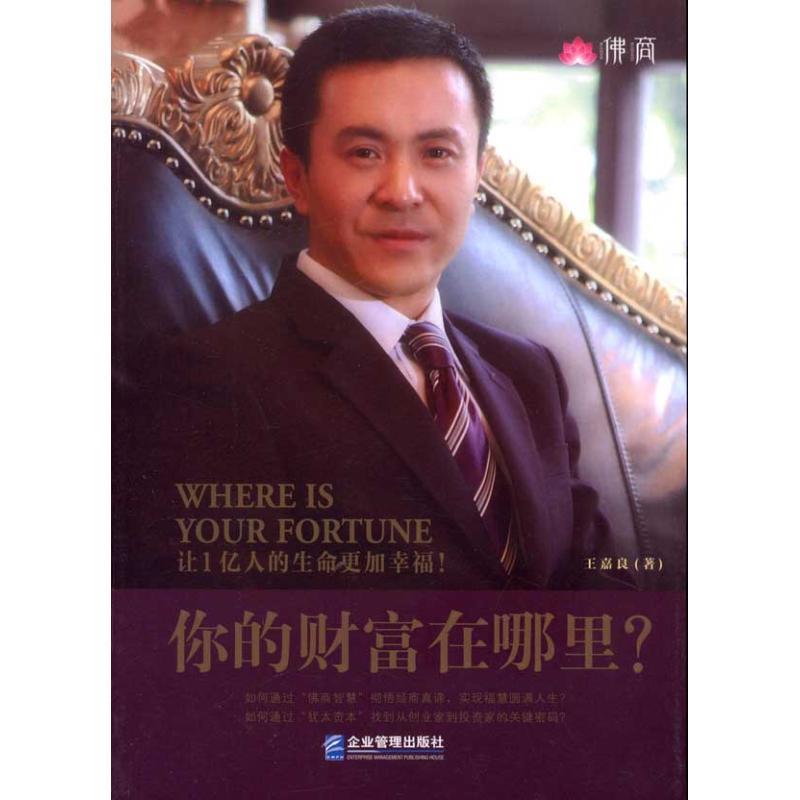 你的财富在哪里 王嘉良著