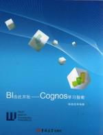 BI由此开始--Cognos学习指南 陈敬凯