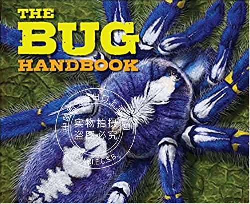 现货 The Bug Handbook (Discovering) 英文原版 昆虫售册 进