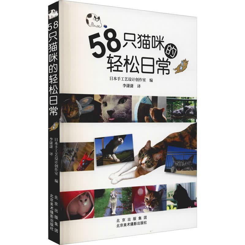 58只猫咪的轻松日常