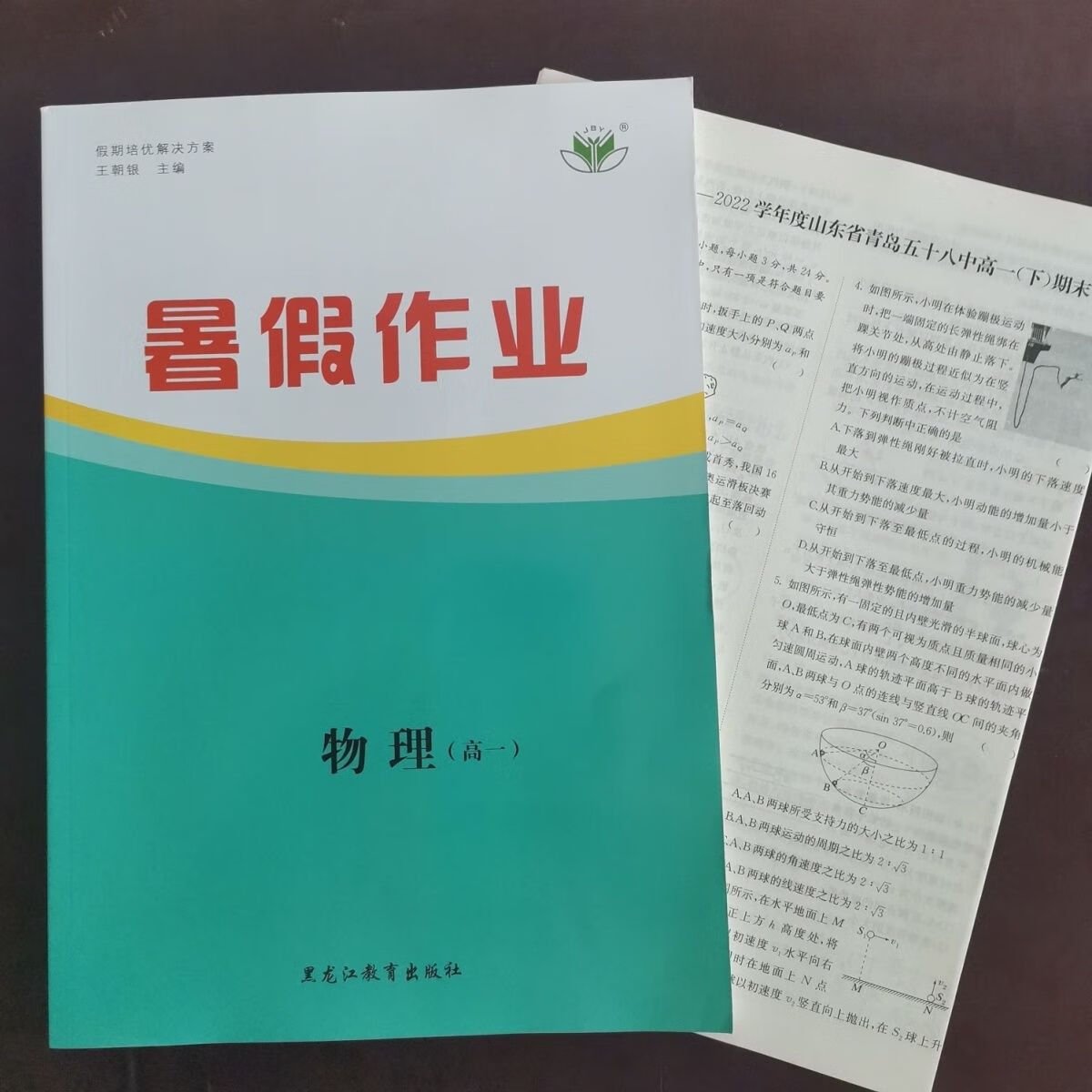 2024新版步步高暑假作业 高一物理 物理