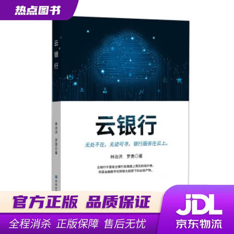 云银行 林治洪等 著 中国金融出版社