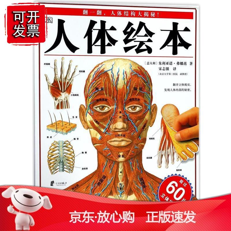 蒲蒲兰绘本馆:人体绘本（D版）