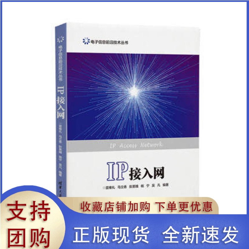IP接入网