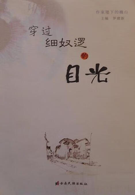 穿过细奴之逻的目光 罗建新 云南民族出版社