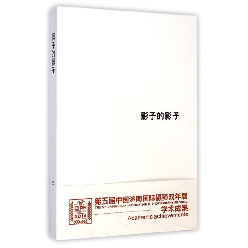 影子的影子 王征  书籍