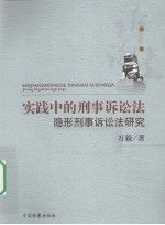 实践中的刑事诉讼法:隐形刑事诉讼法研究