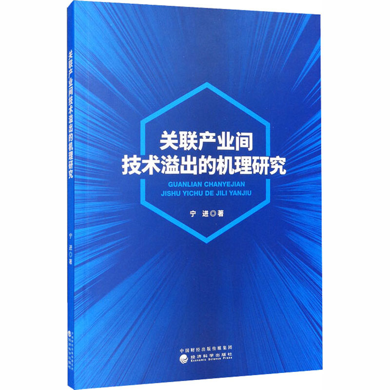 关联产业间技术溢出的机理研究 宁进 书籍